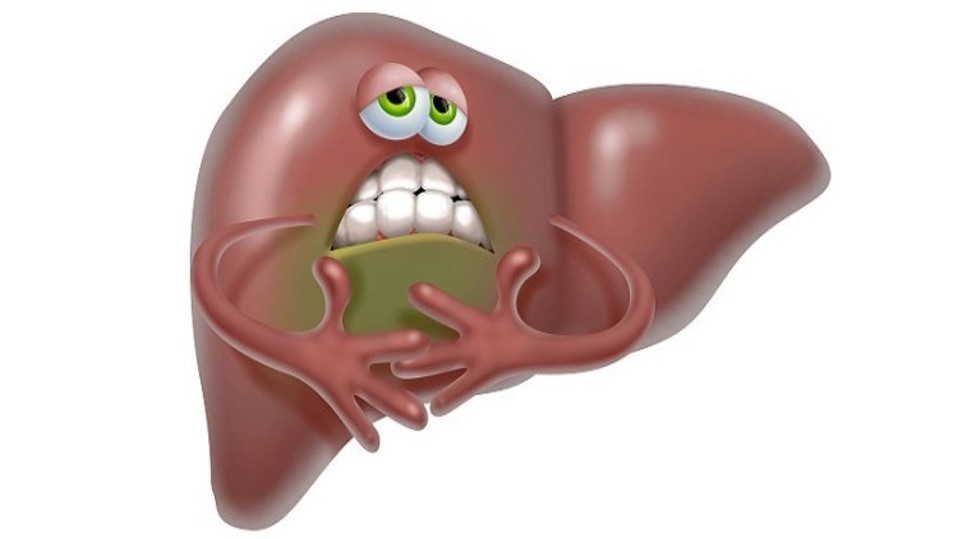 De Lever - Voedingbewustzijn